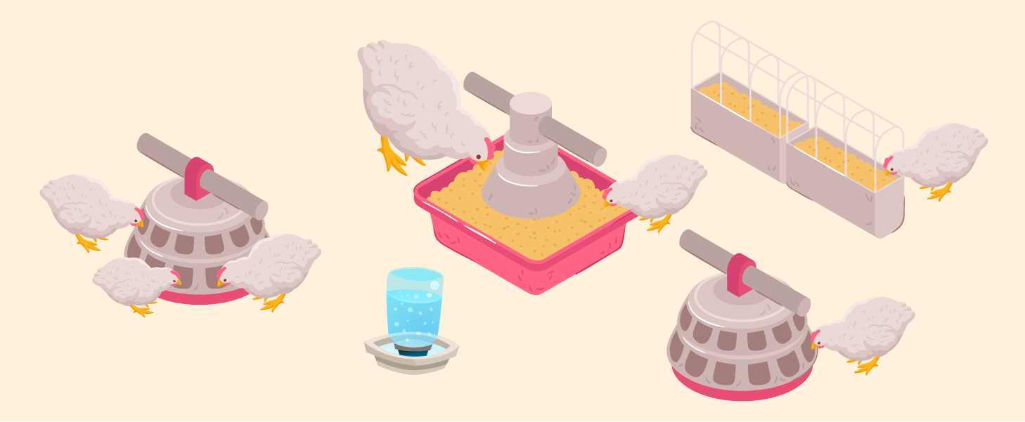 Litter management in poultry farming - PoultryApp