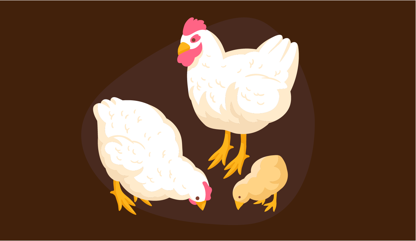 How to dispose a mortality poultry chicken - PoultryApp